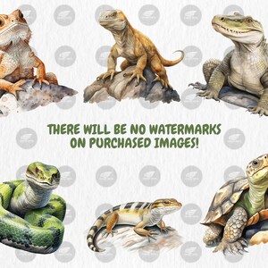 Watercolor Reptiles Clipart: Lizard, Snake, Turtle Illustrations ...