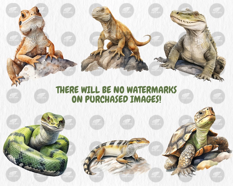 Watercolor Reptiles Clipart: Lizard, Snake, Turtle Illustrations ...