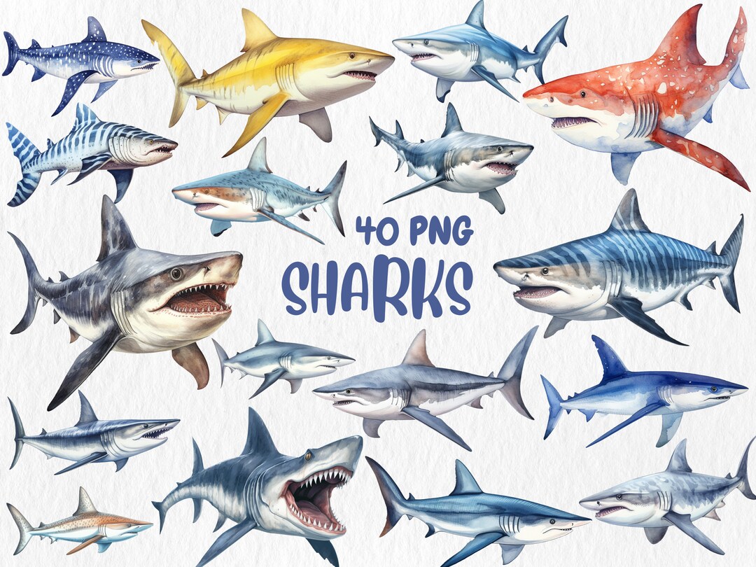 Watercolor Sharks Clipart: Sea Animal Illustrations (instant Download ...