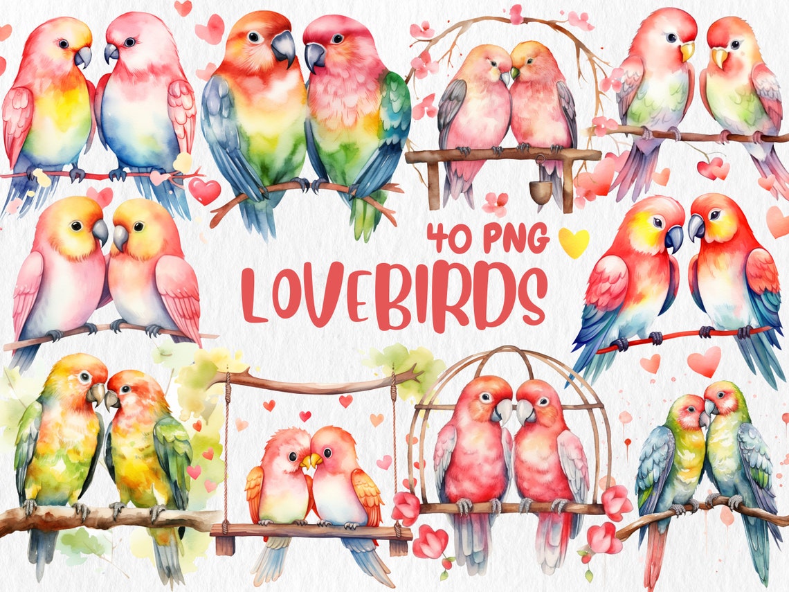 Watercolor Lovebirds Clipart: Romantic Bird Couple Illustrations ...