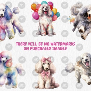 Watercolor Poodles Clipart | Cute Dog, Puppy, Animal, Dog Breed, Dog ...