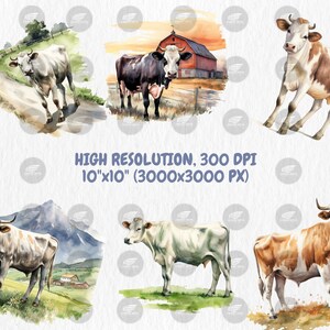 Watercolor Cows Clipart: Farmhouse Illustrations (instant Download) - Etsy