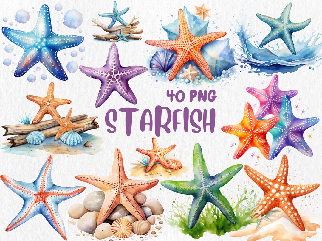Watercolor Starfish Clipart: 40 Beach Ocean PNG Graphics (digital Art ...