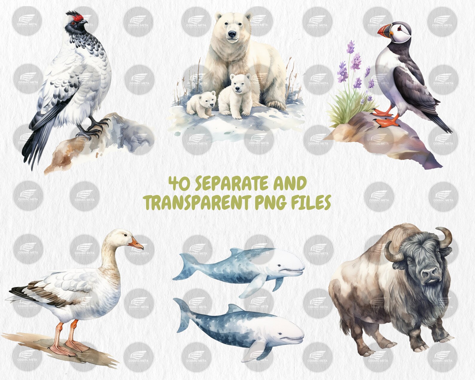 Watercolor Tundra Animals Clipart: 40 PNG Illustrations (instant ...