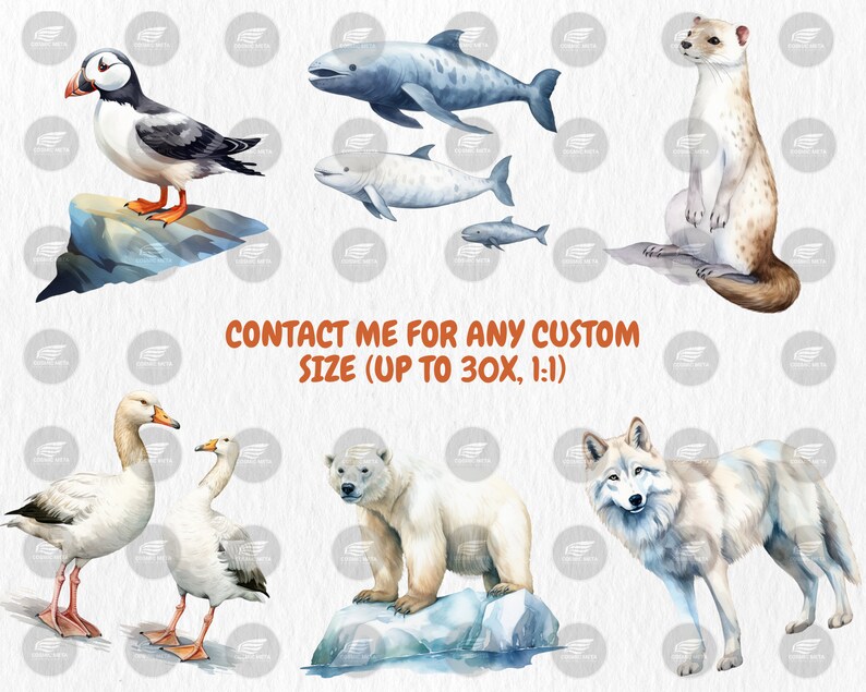 Watercolor Arctic Animals Clipart: 40 PNG Illustrations (commercial Use ...