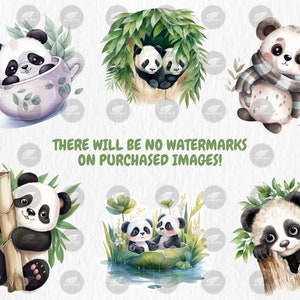 Watercolor Cute Pandas Clipart | Adorable, Cute Panda, Baby Panda ...