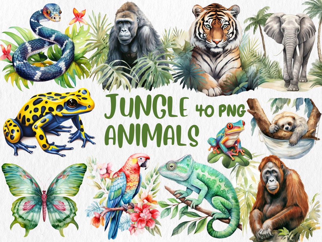 Watercolor Jungle Animals Clipart | Parrot, Tiger, Monkey, Frog, Sloth ...