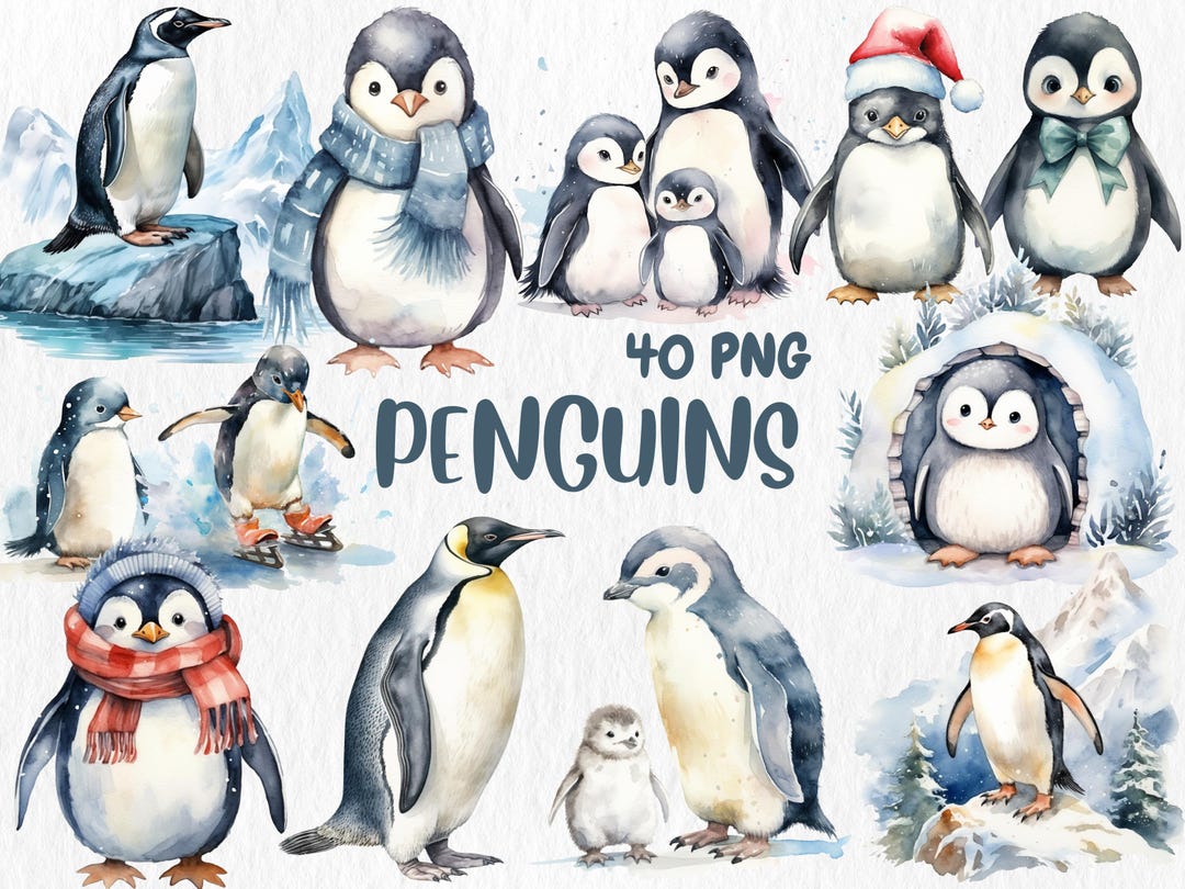 Watercolor Penguins Clipart | Winter Animals, 40 PNG Images ...