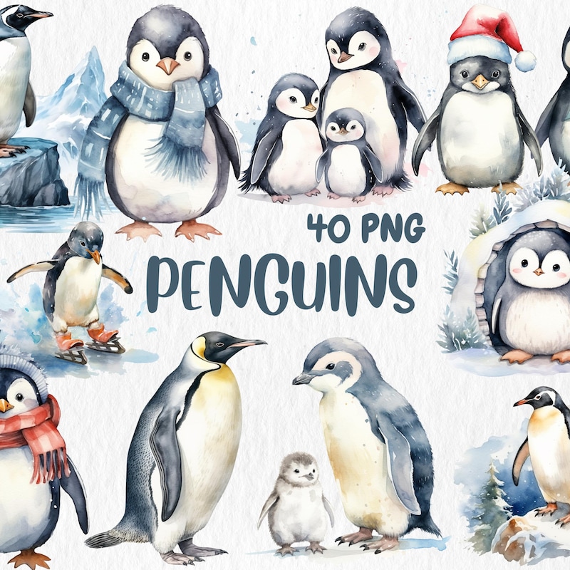 Penguin Clipart - Etsy