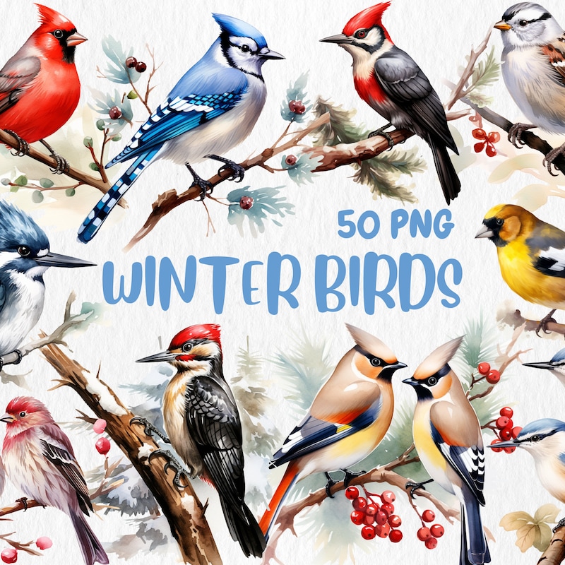 Winter Birds - Etsy