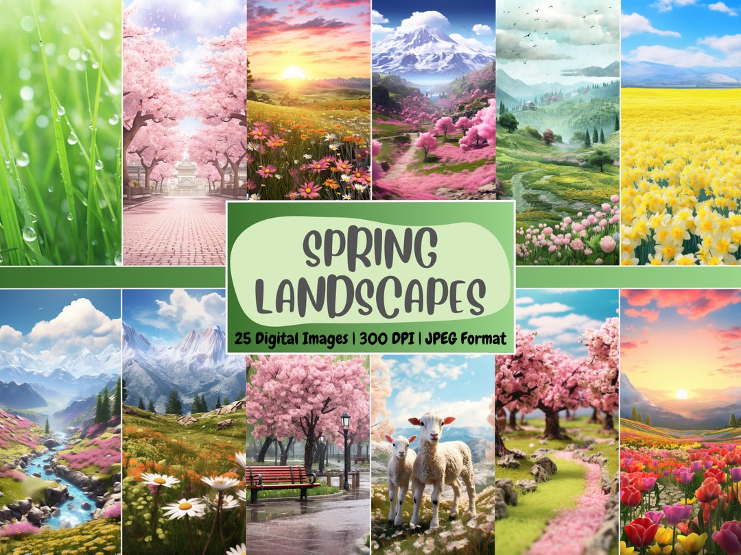 Spring Landscape Digital Paper: Floral Forest Backgrounds (digital ...