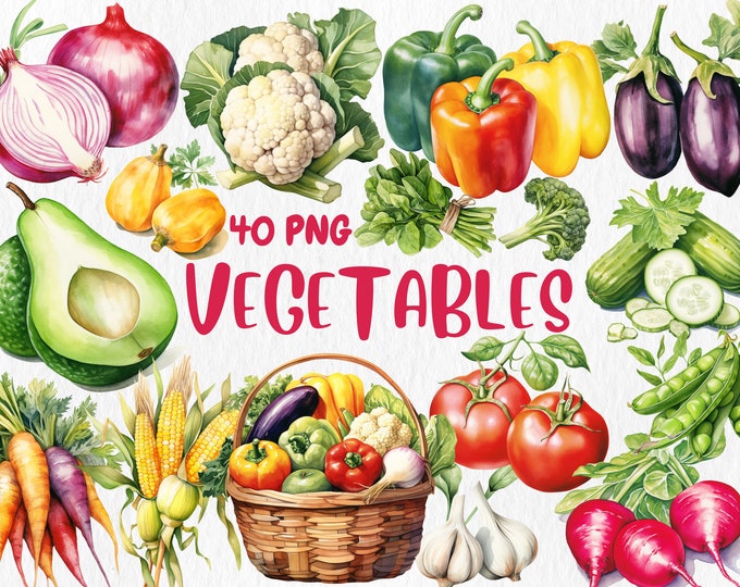 45 Watercolor Vegetables PNG Clipart Bundle, Tomato, Carrot, Corn ...
