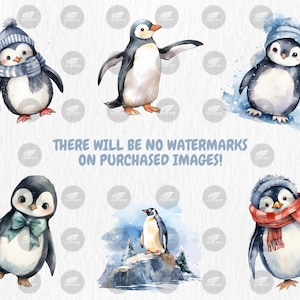 Watercolor Penguins Clipart | Winter Animals, 40 PNG Images ...