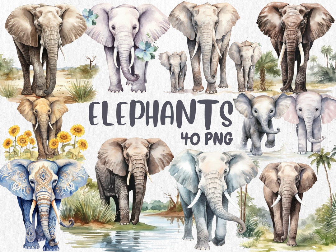Watercolor Elephant Clipart: 40 Animal Illustrations (instant Download ...