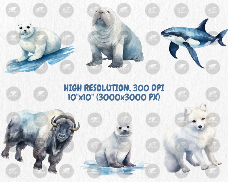 Watercolor Arctic Animals Clipart: 40 PNG Illustrations (commercial Use ...