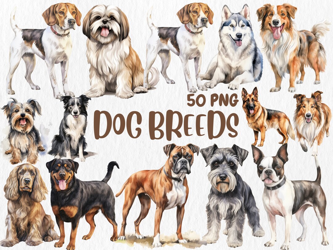 Watercolor Dog Breeds Clipart: 50 PNG Illustrations (commercial Use) - Etsy