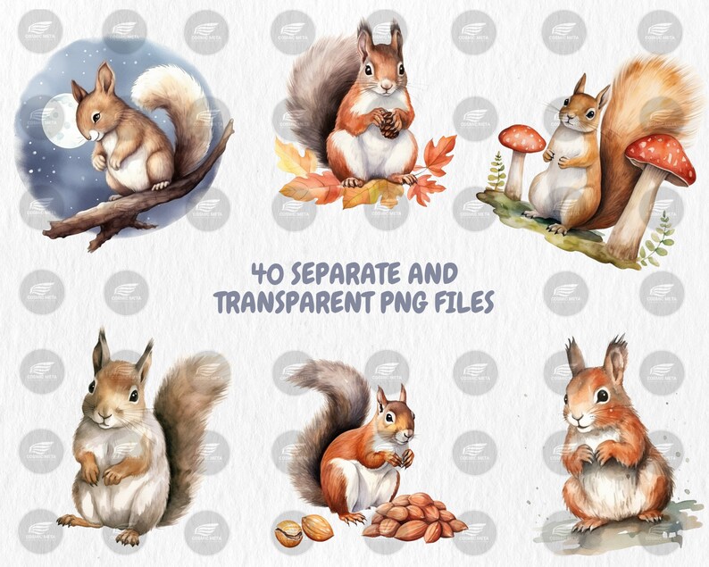 Watercolor Squirrel Clipart: 40 Forest Animal Illustrations (commercial ...