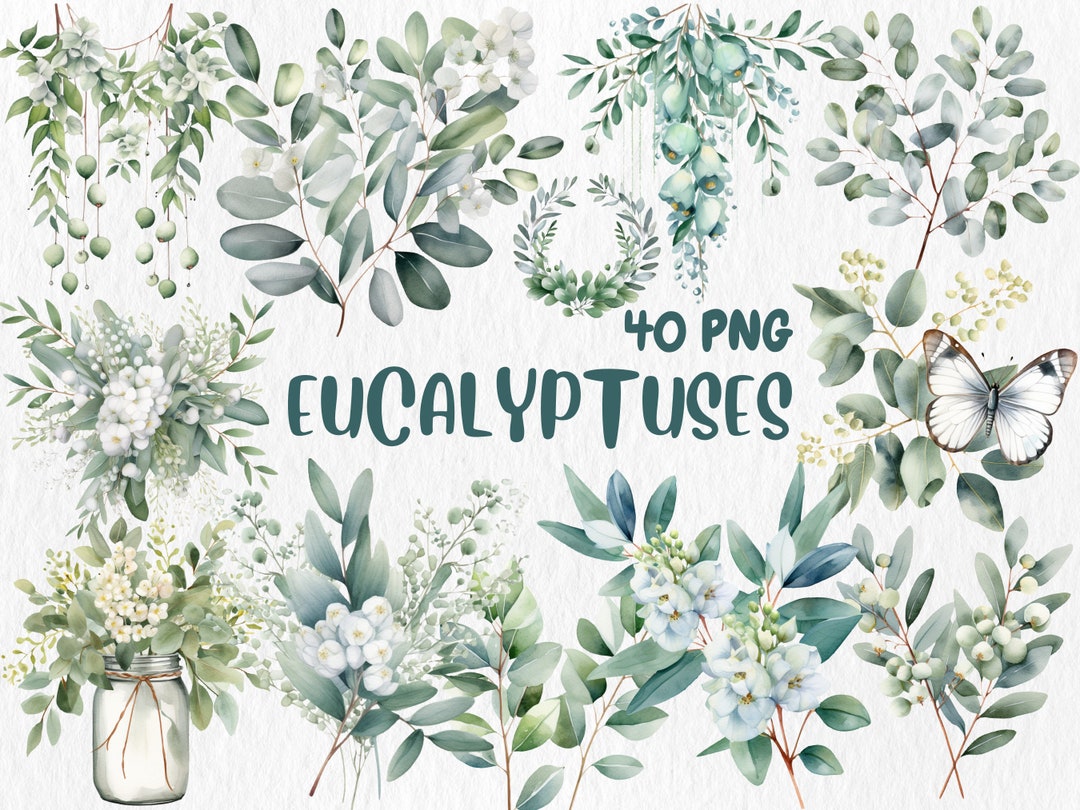 Watercolor Eucalyptuses Clipart | Spring Flower, Floral Bouquet ...