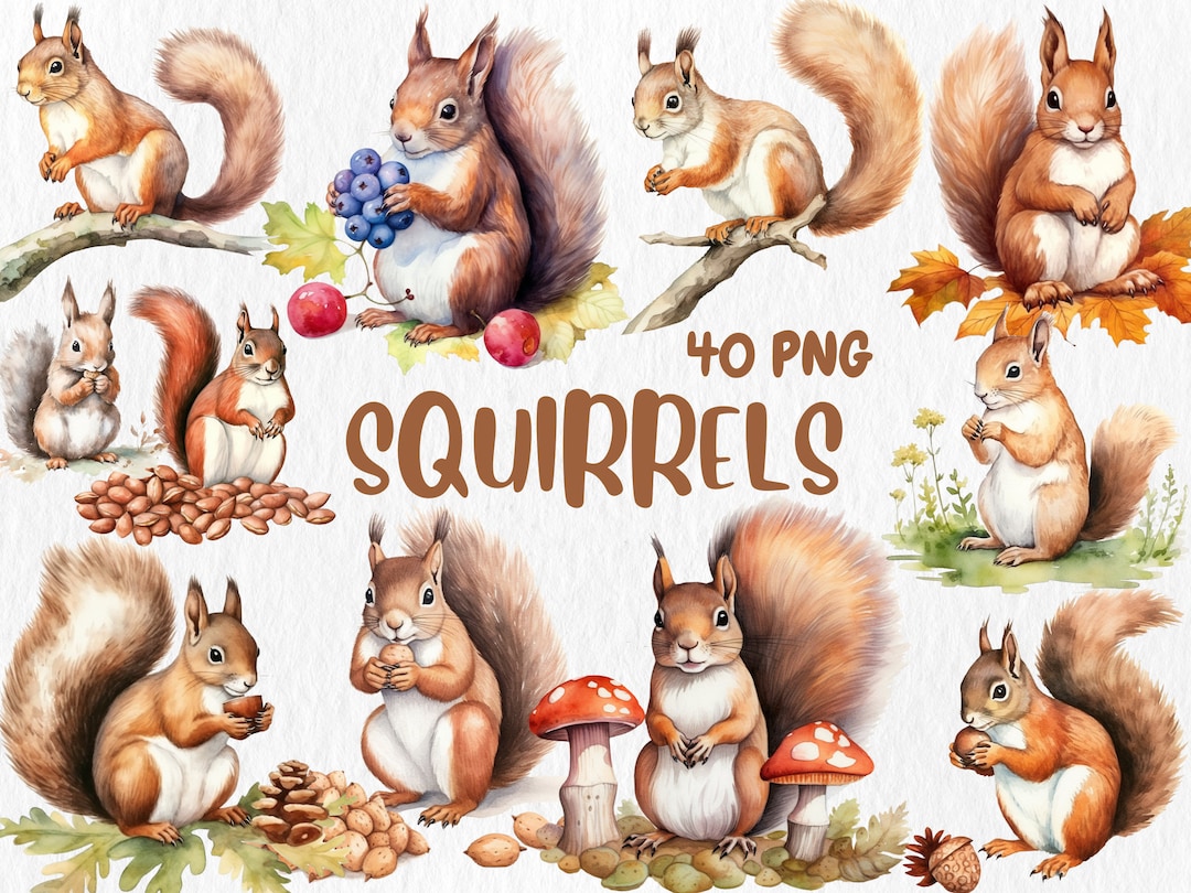 Watercolor Squirrels Clipart | Happy Squirrel, Forest Animal, Woodland ...