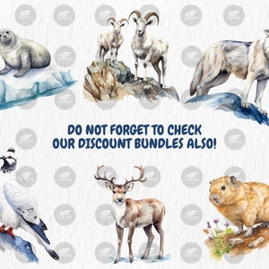 Watercolor Tundra Animals Clipart: 40 PNG Illustrations (instant ...