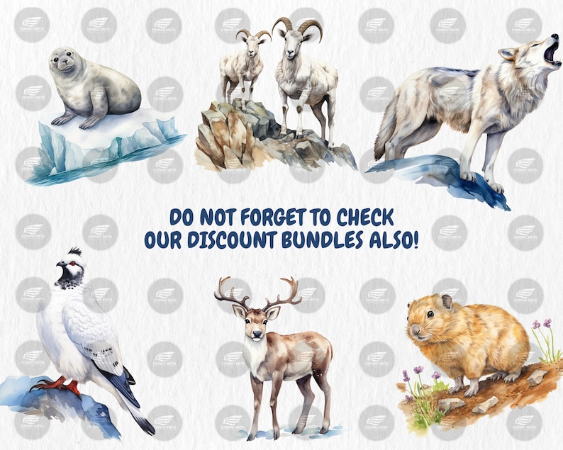 Watercolor Tundra Animals Clipart: 40 PNG Illustrations (instant ...