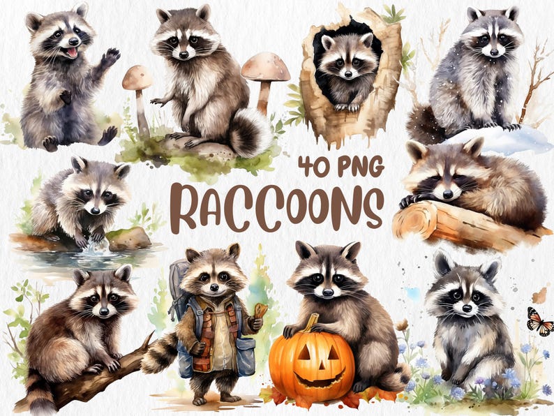 Watercolor Raccoon Clipart: 40 Woodland Animal Designs (digital ...