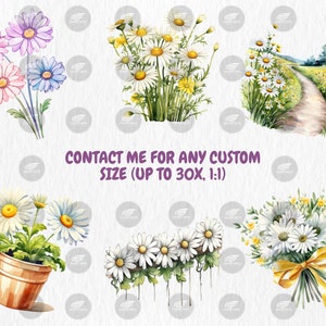 Watercolor Daisies Clipart | Spring Flower, Floral Bouquet, White ...