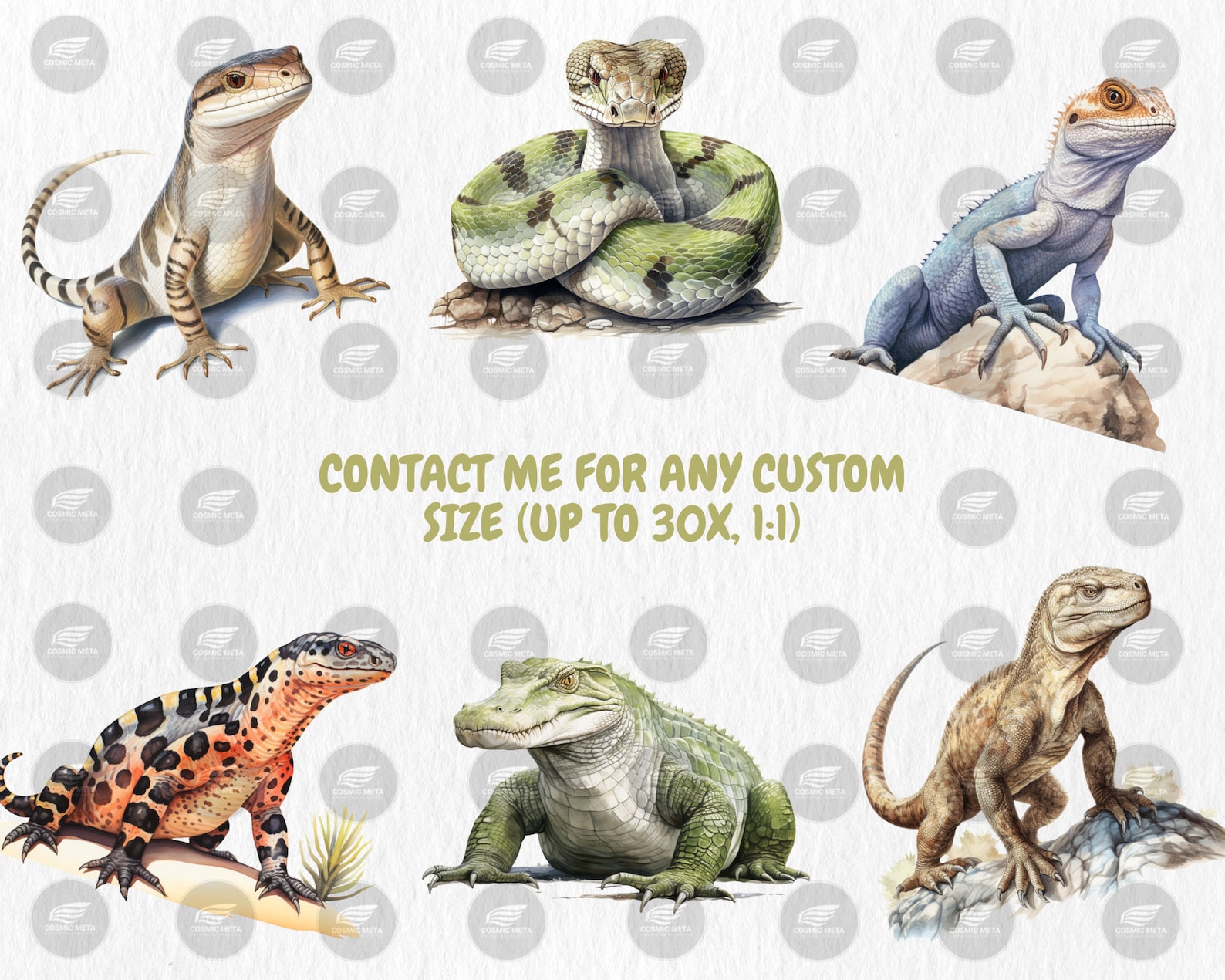 Watercolor Reptiles Clipart: Lizard, Snake, Turtle Illustrations ...