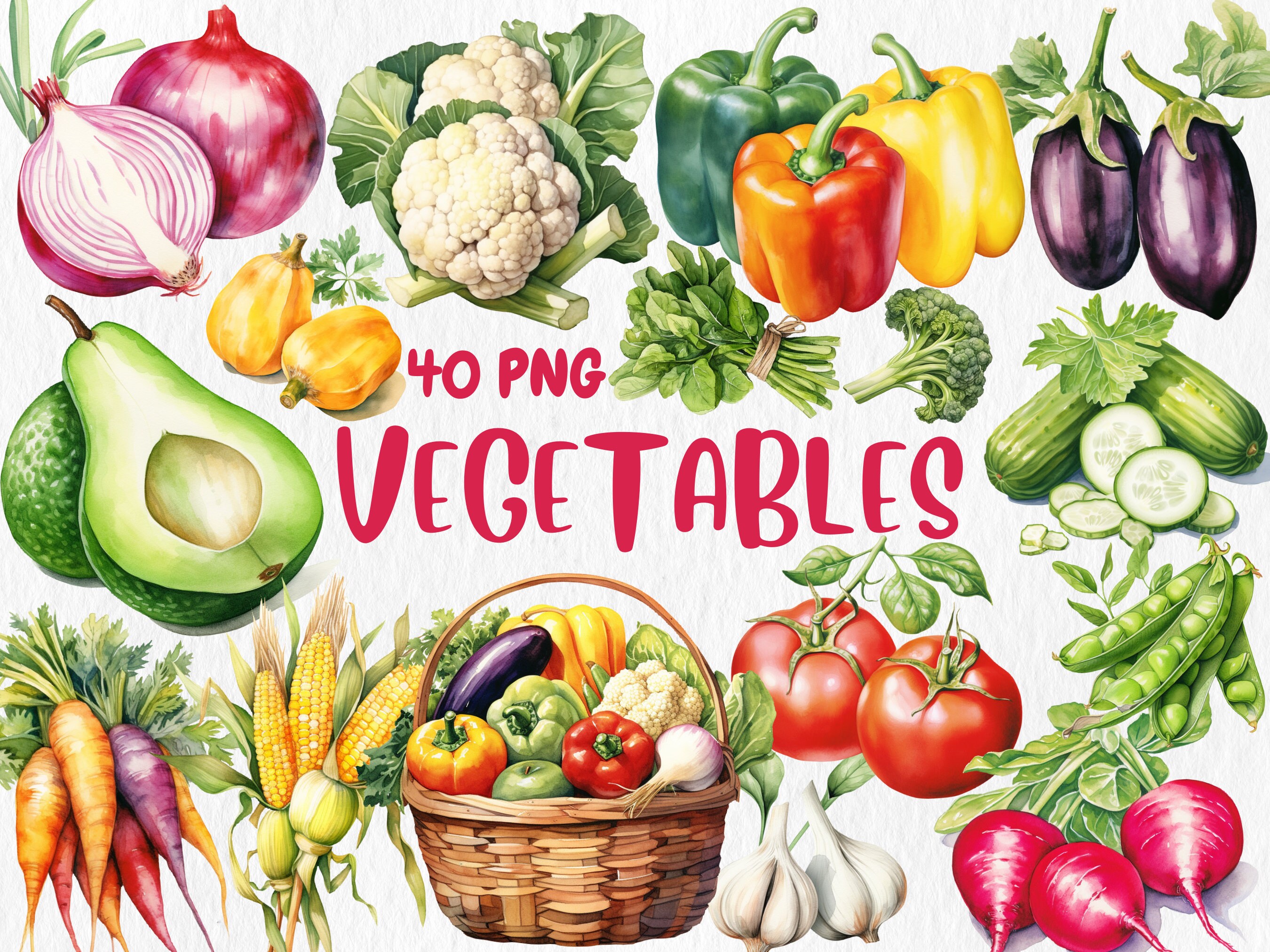 Watercolor Clipart Mega Bundle 190 PNG Image Fruits - Etsy