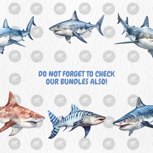 Watercolor Sharks Clipart | Great White Shark, Tiger Shark, Bull Shark ...
