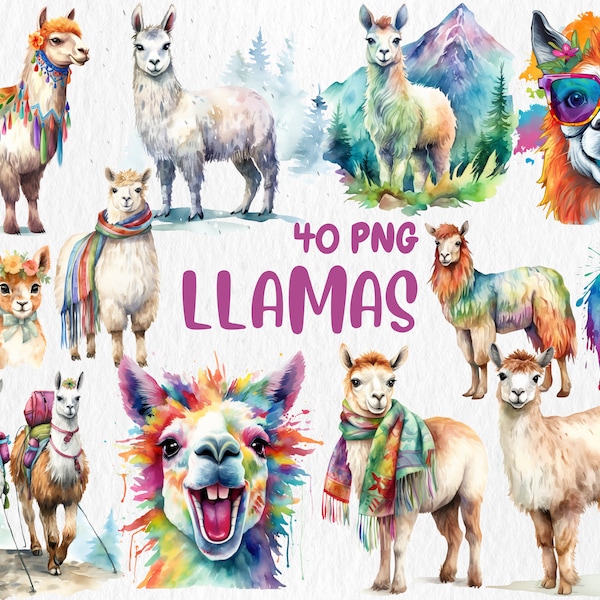Llama Party - Etsy