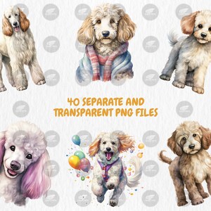 Watercolor Poodles Clipart | Cute Dog, Puppy, Animal, Dog Breed, Dog ...