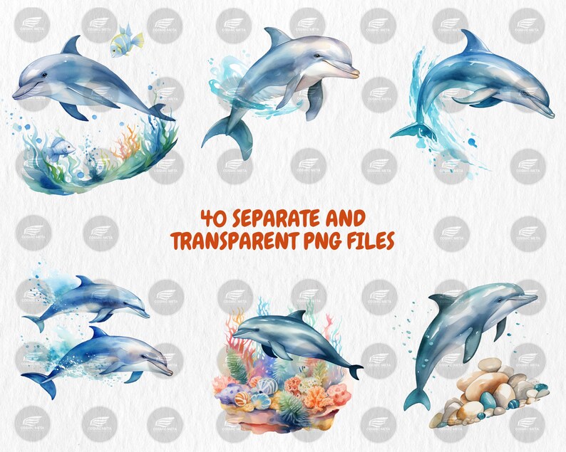 Watercolor Dolphins Clipart: 40 PNG Marine Animal Graphics (digital ...