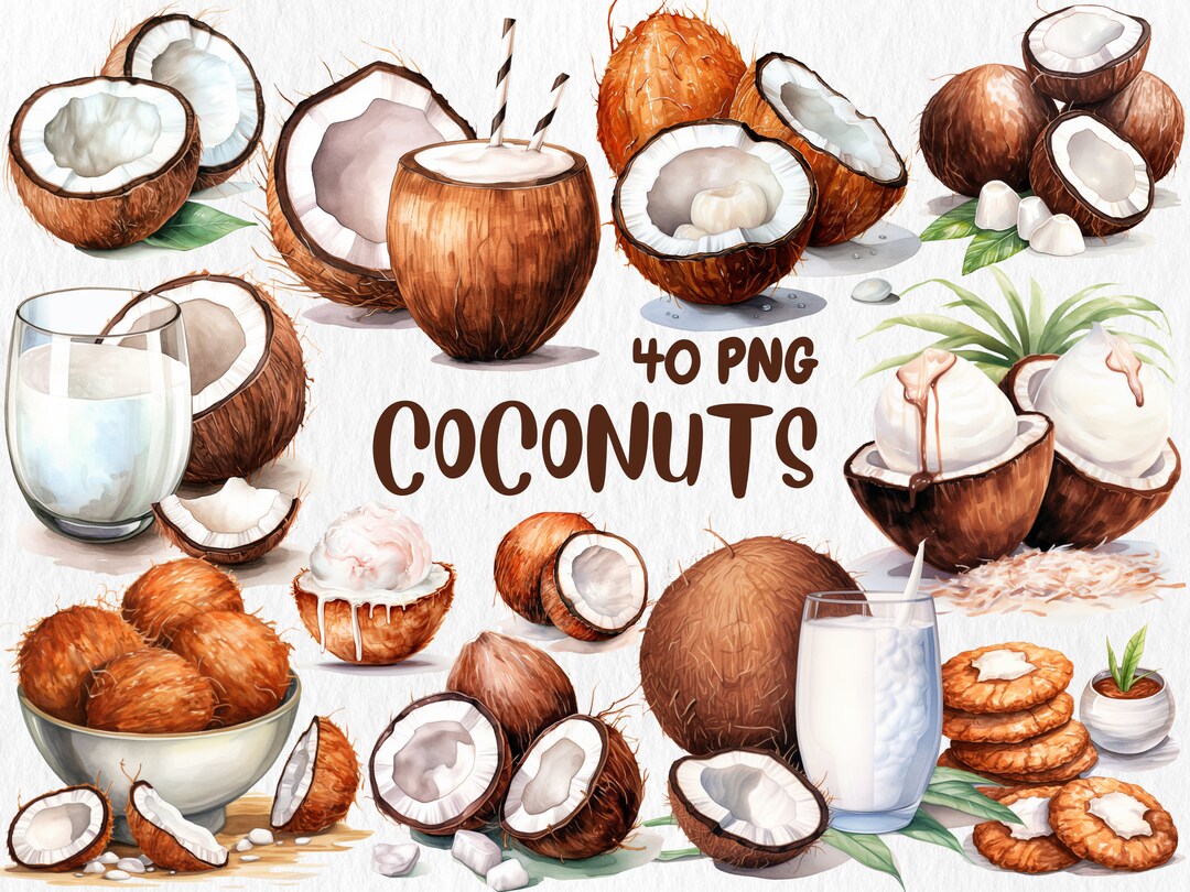 Watercolor Coconut Clipart: Tropical Summer Fruit Pngs (commercial Use ...