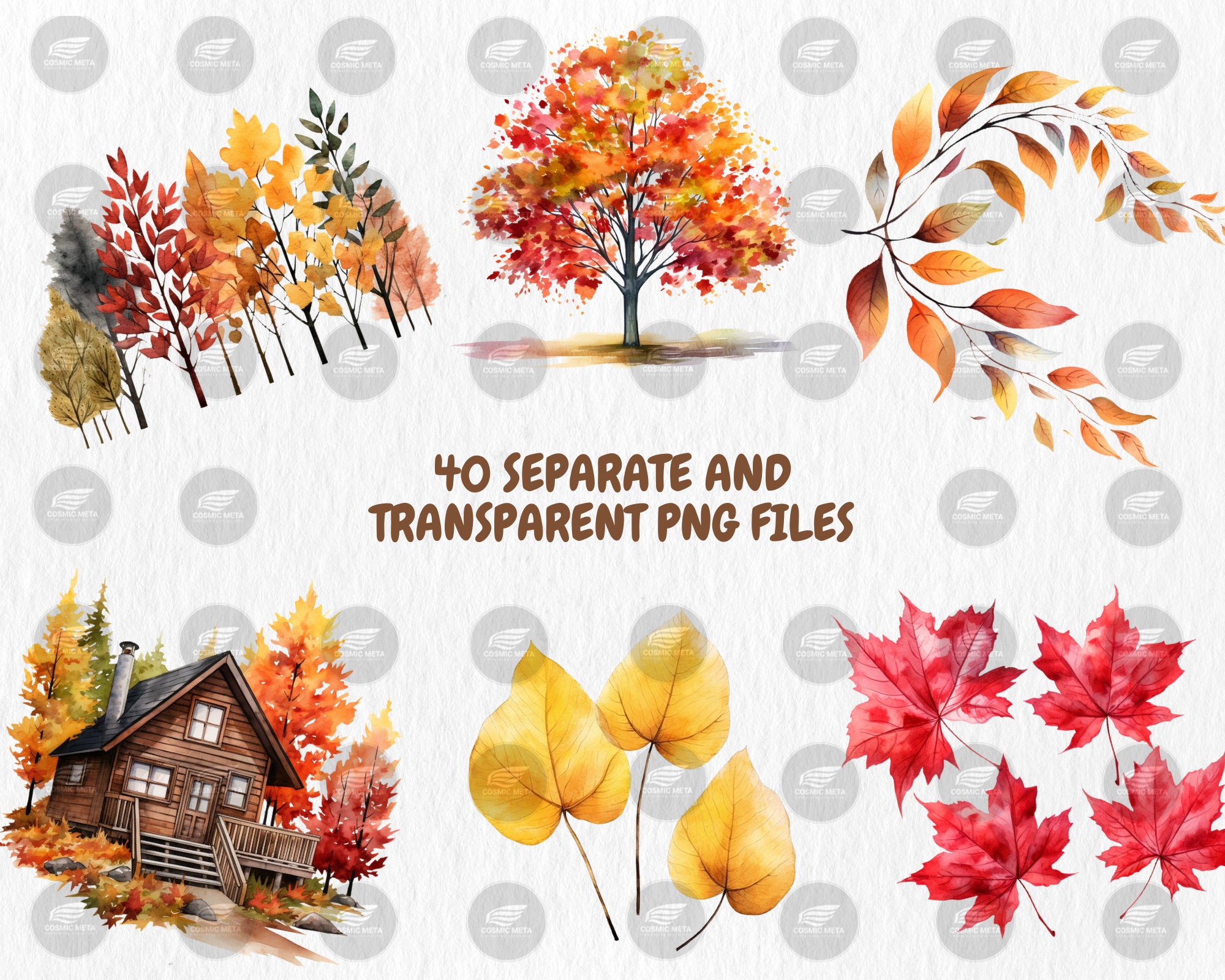 Watercolor Fall Foliage Clipart: 40 PNG Autumn Graphics (commercial Use ...