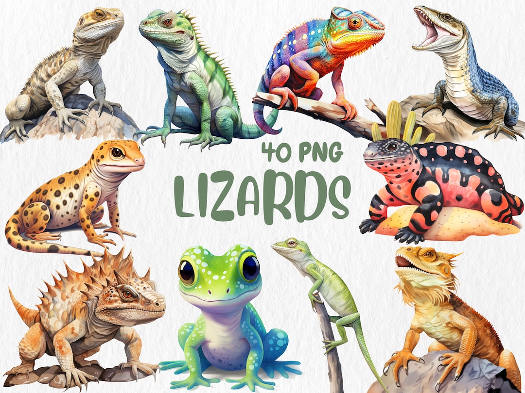 Watercolor Lizards Clipart | Chameleon, Gecko, Bearded Dragon, Iguana ...
