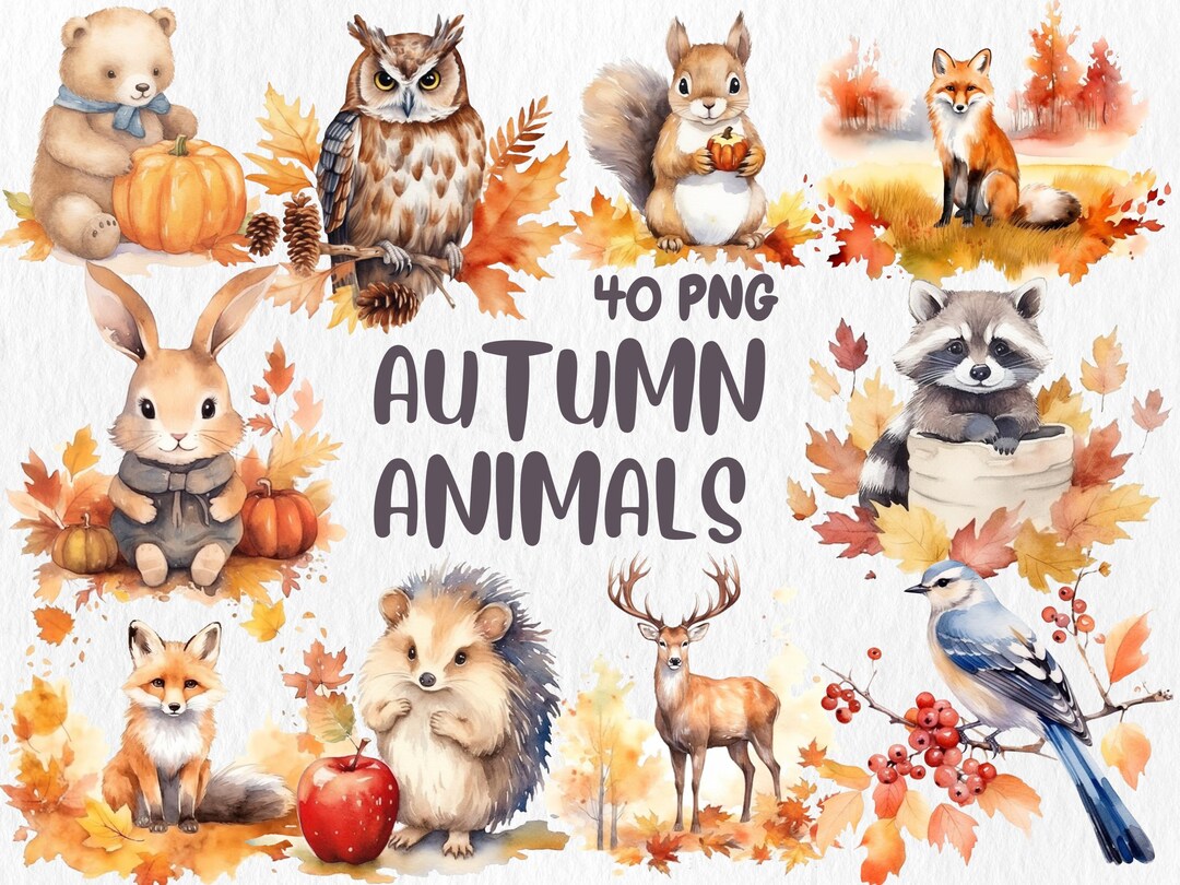 Watercolor Autumn Animals Clipart: Rustic Woodland PNG (instant ...