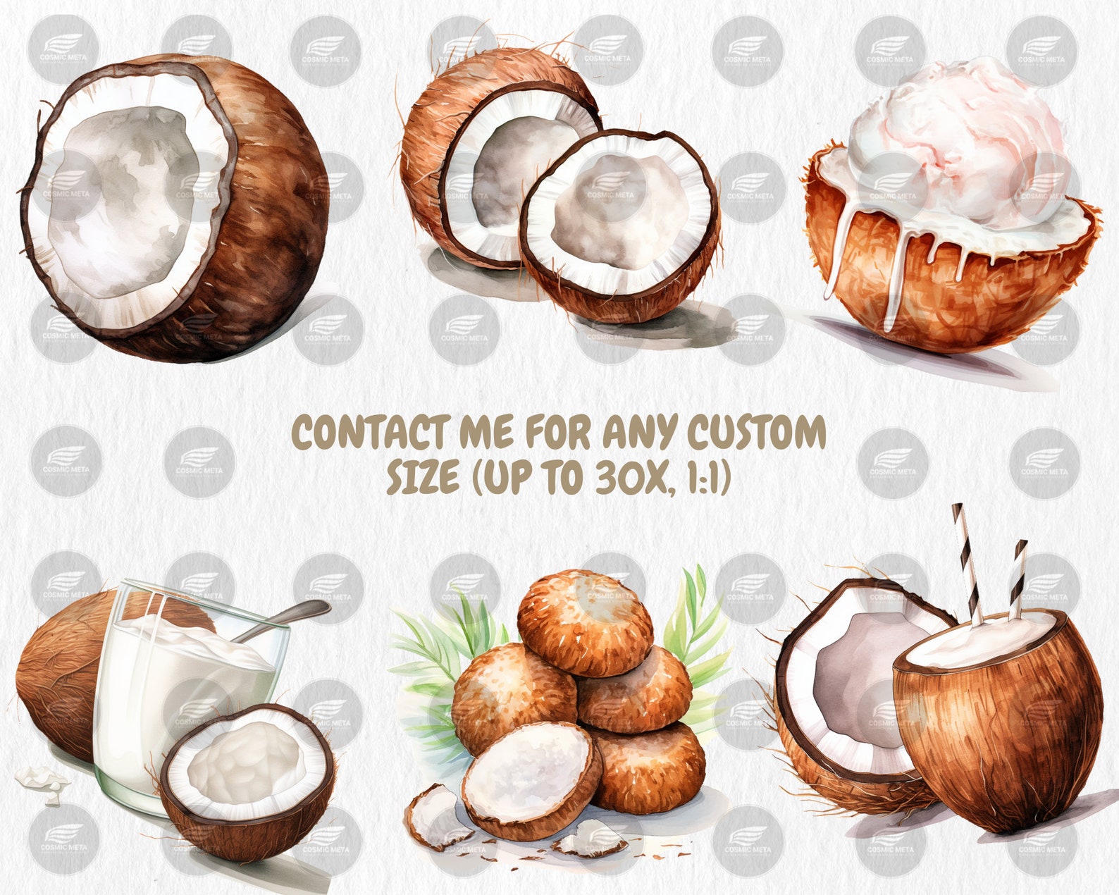 Watercolor Coconut Clipart: Tropical Summer Fruit Pngs (commercial Use ...