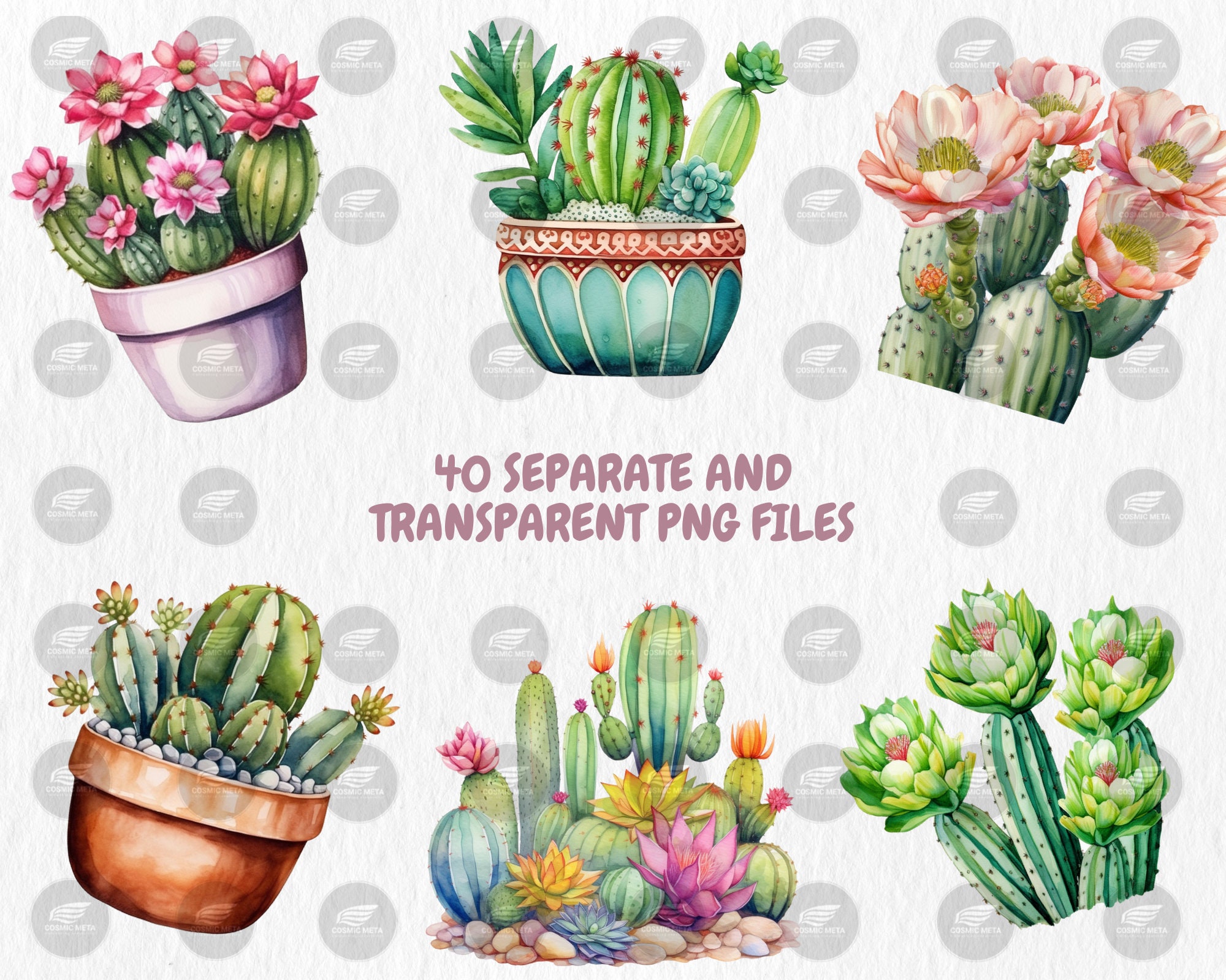 Watercolor Cactus Clipart: Desert Succulents Illustrations (instant ...