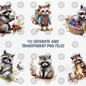 Watercolor Raccoon Clipart: 40 Woodland Animal Designs (digital ...