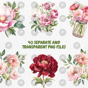 Watercolor Peonies Clipart | Spring Flower, Floral Bouquet, Pink, Red ...