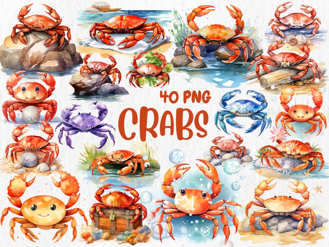 Watercolor Crabs Clipart: 40 Ocean Animal PNG Graphics (commercial Use ...