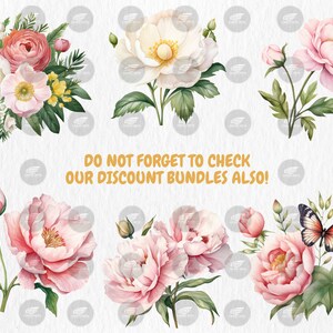 Watercolor Peonies Clipart | Spring Flower, Floral Bouquet, Pink, Red ...