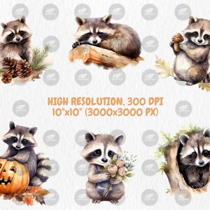 Watercolor Raccoon Clipart: 40 Woodland Animal Designs (digital ...