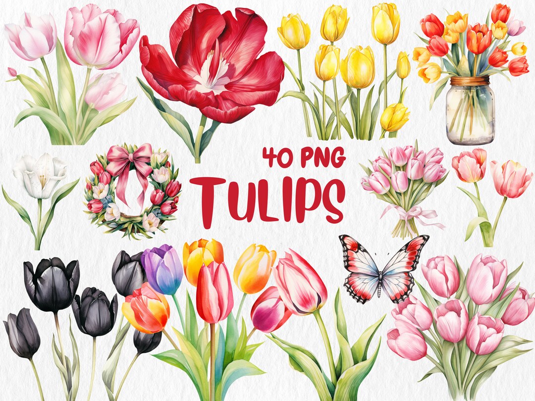 Watercolor Tulips Clipart | Spring Flower, Floral Bouquet, Red, Yellow ...