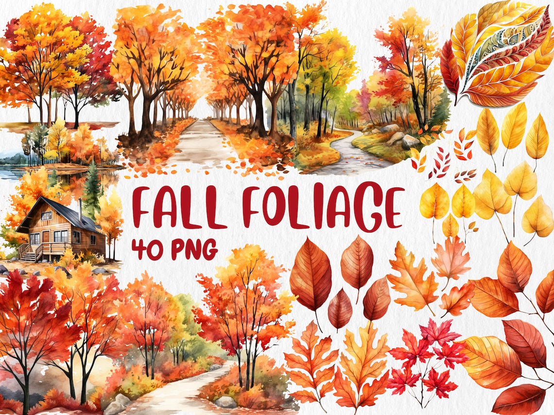 Watercolor Fall Foliage Clipart: 40 PNG Autumn Graphics (commercial Use ...