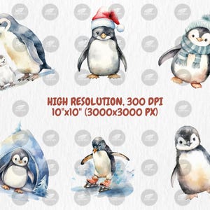 Watercolor Penguins Clipart | Winter Animals, 40 PNG Images ...
