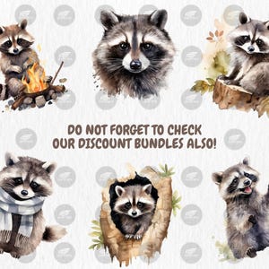 Watercolor Raccoon Clipart: 40 Woodland Animal Designs (digital ...