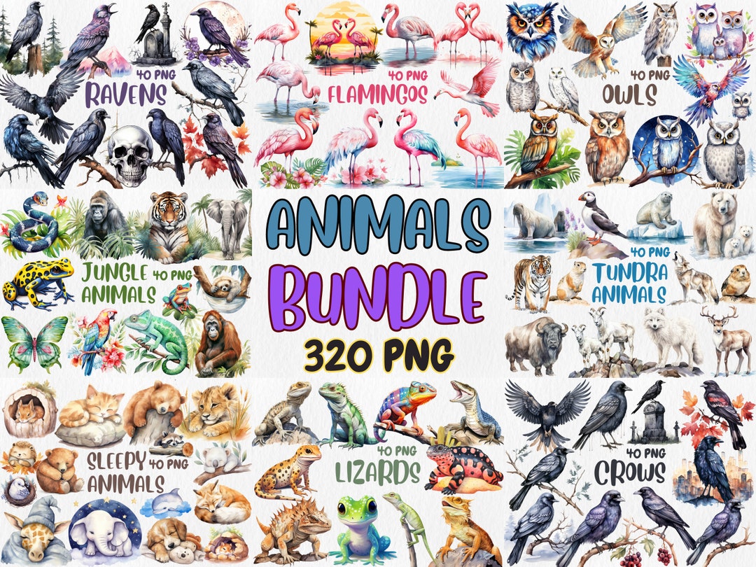 Watercolor Animals Mega Clipart Bundle | Flamingo, Lizard, Owl, Crow ...
