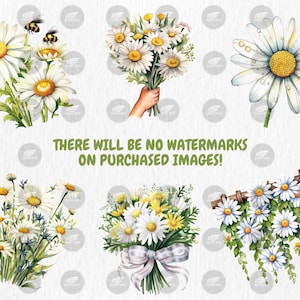 Watercolor Daisies Clipart | Spring Flower, Floral Bouquet, White ...